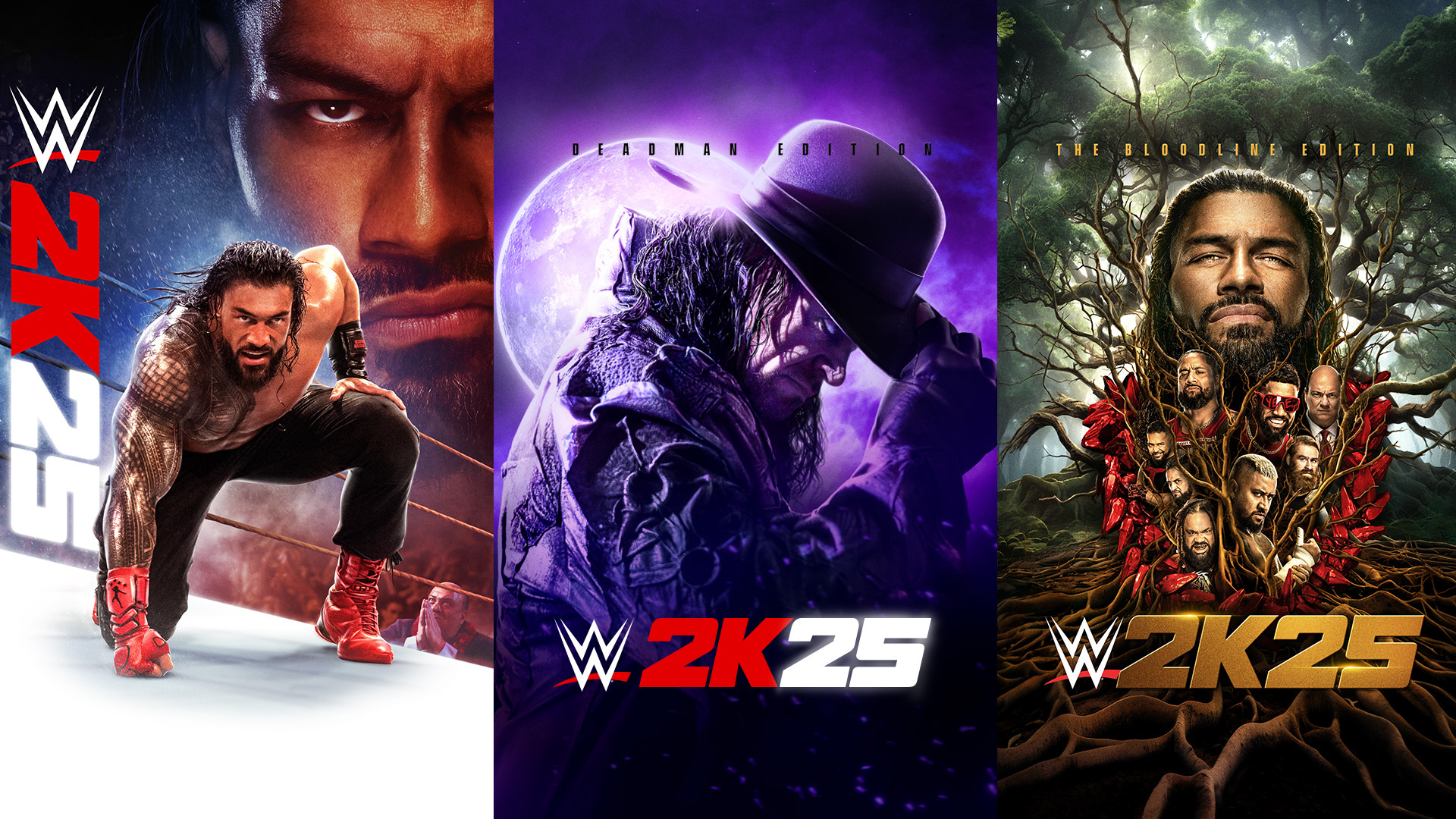 WWE 2K25 reveals Bloodline Showcase mode, new features, match types ...