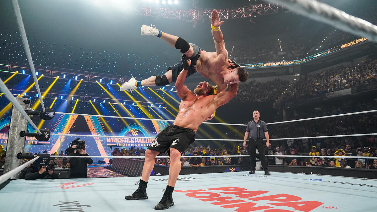 Clarification on Brock Lesnar vs. John Cena WWE Wrestlepalooza finish - F4W/WON