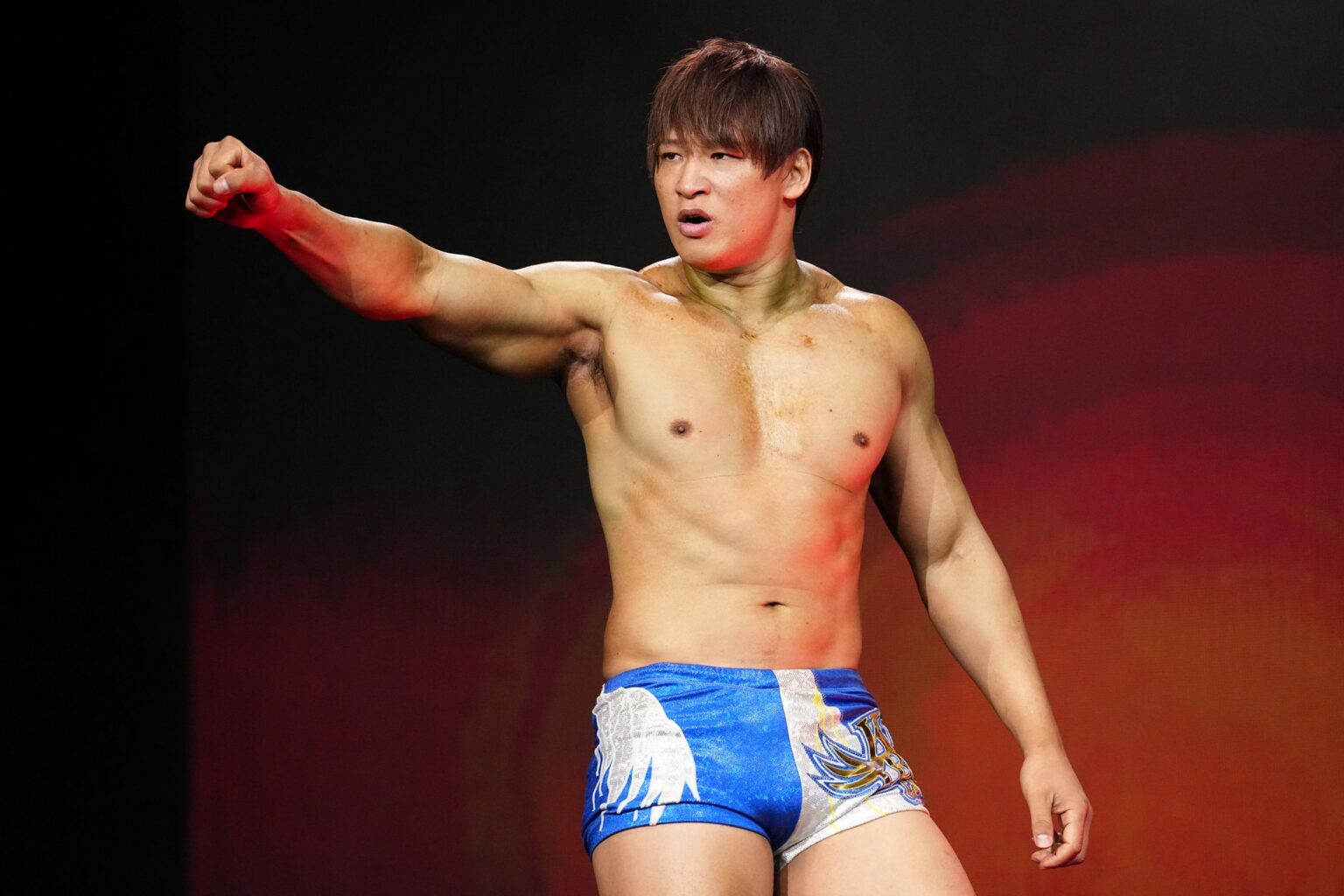 Daily Update: Natalya, Kota Ibushi, Rikishi - F4W/WON