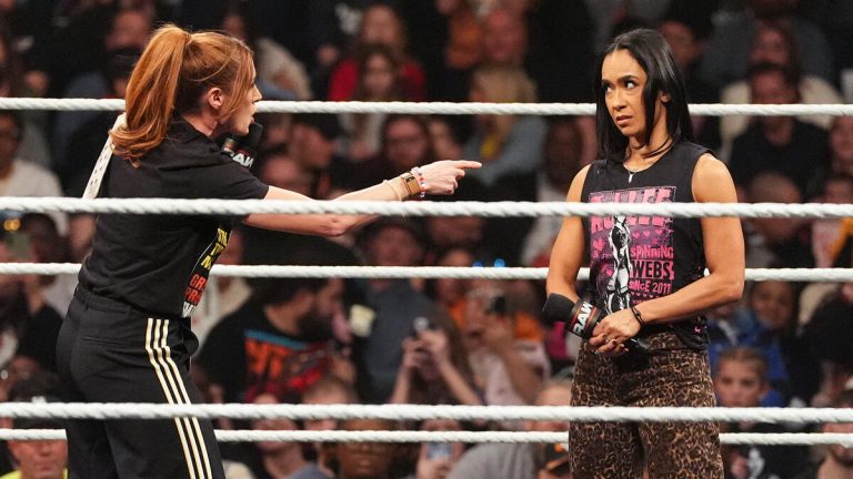 Daily Update: CM Punk, AJ Lee, Shinjuku FACE - F4W/WON